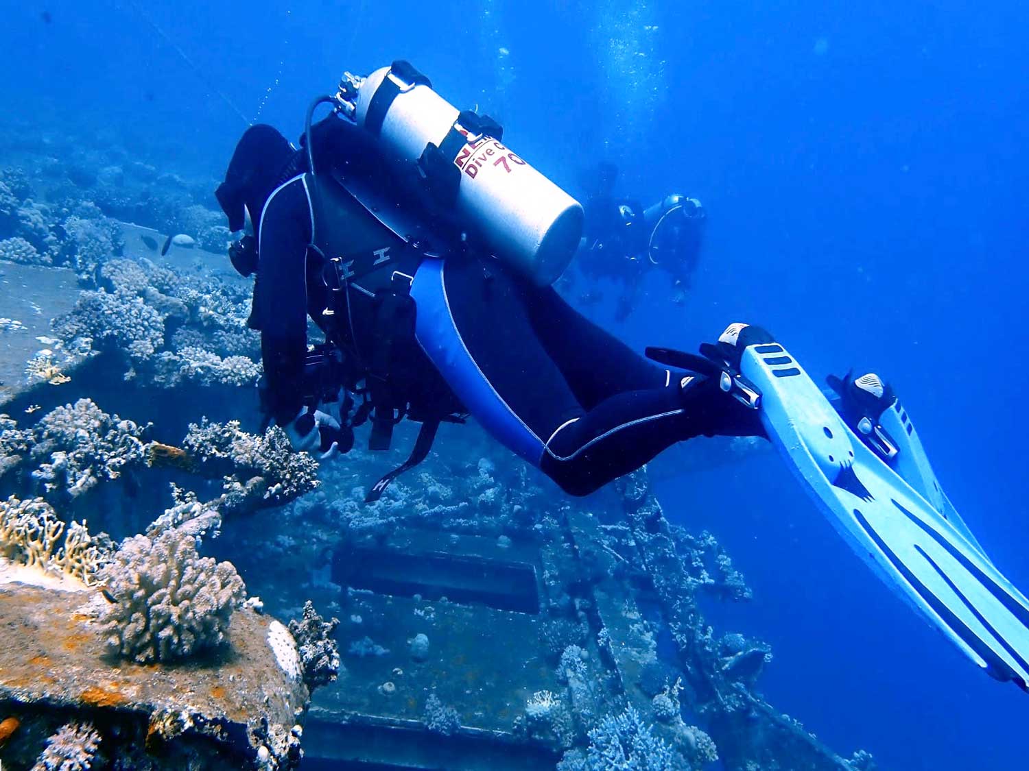 What diving suit do I wear - Nemo Dive Club & Hotel